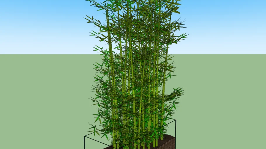 Vaso bamboo interior | 3D Warehouse