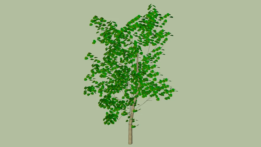 Tree | 3D Warehouse
