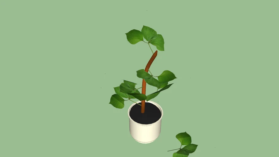 Plant | 3D Warehouse