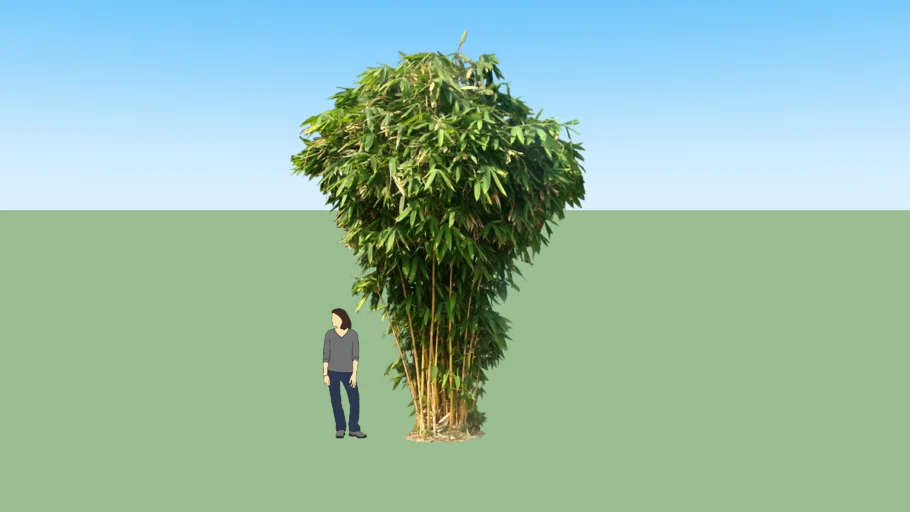 BAMBU | 3D Warehouse