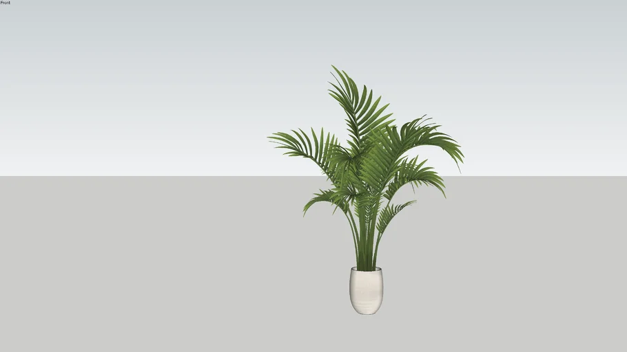 Plant | 3D Warehouse