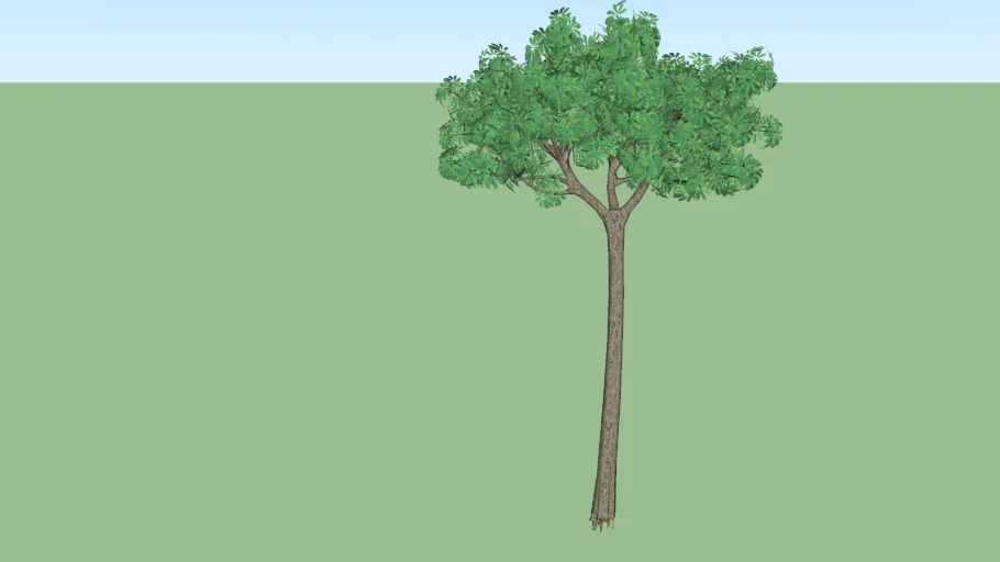 Árvore | 3D Warehouse