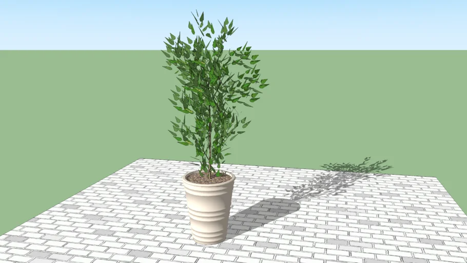plant | 3D Warehouse