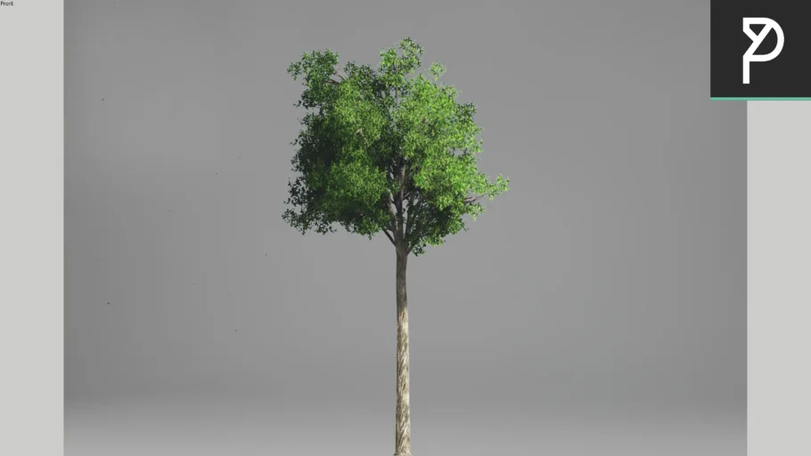 2DTrees_018 Leaf Medium | 3D Warehouse