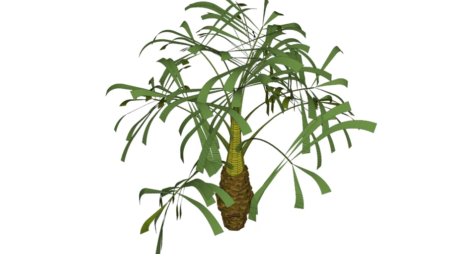 palm | 3D Warehouse