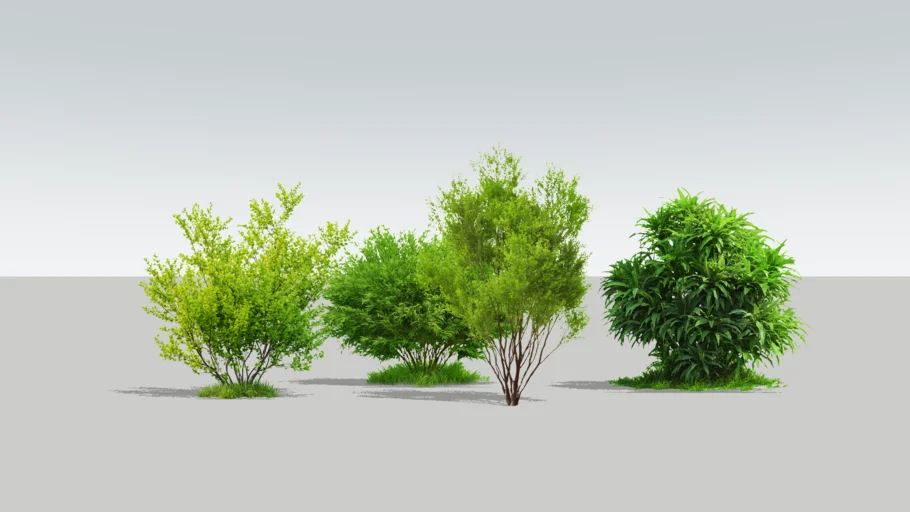 2D Bushes | 3D Warehouse
