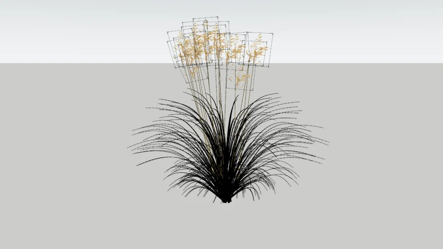 Stipa gigantea 3d | 3D Warehouse