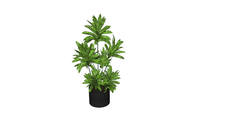 plant | 3D Warehouse