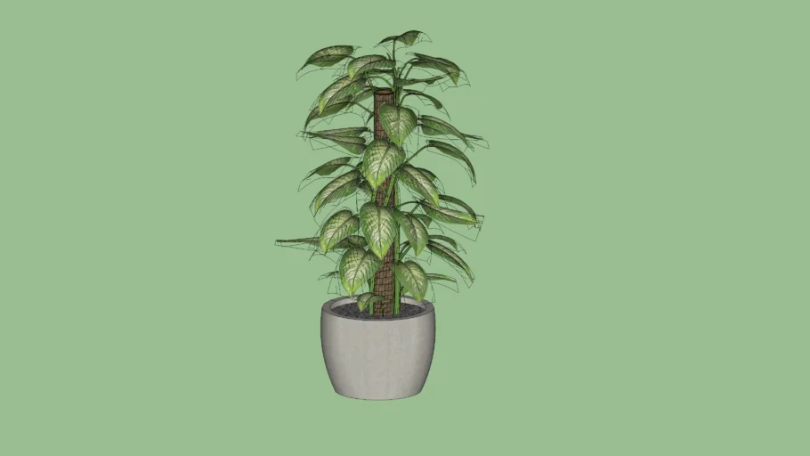 plant | 3D Warehouse