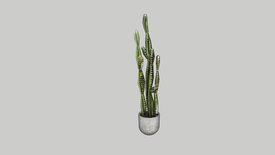 Plant Cactus | 3D Warehouse