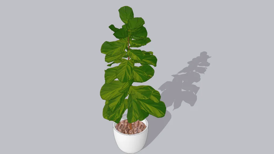 PLANT | 3D Warehouse