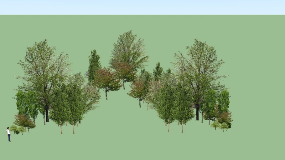 real_trees | 3D Warehouse