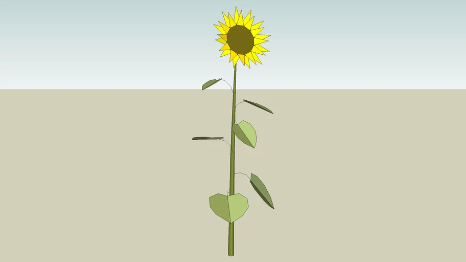 sunflower | 3D Warehouse