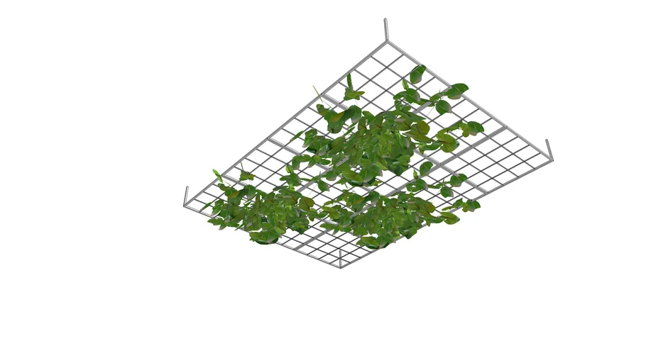 500 x 500 ceiling grid | 3D Warehouse