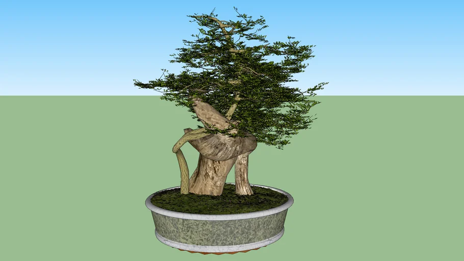 bonsai | 3D Warehouse