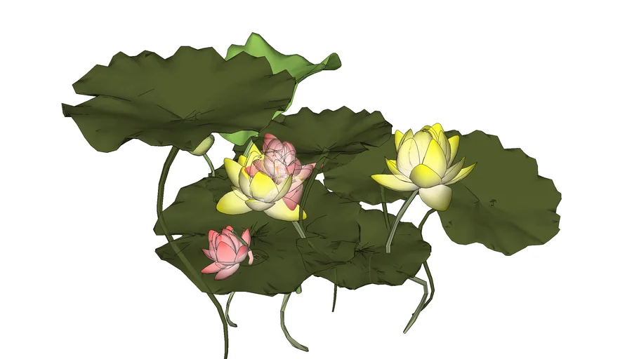 Plant_Lotus | 3D Warehouse