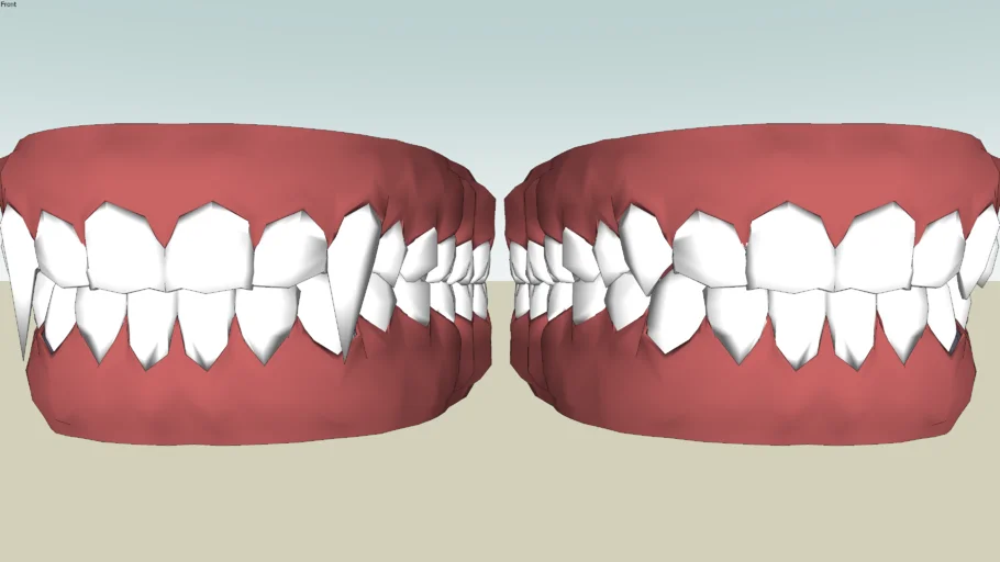 Teeth and Fangs | 3D Warehouse
