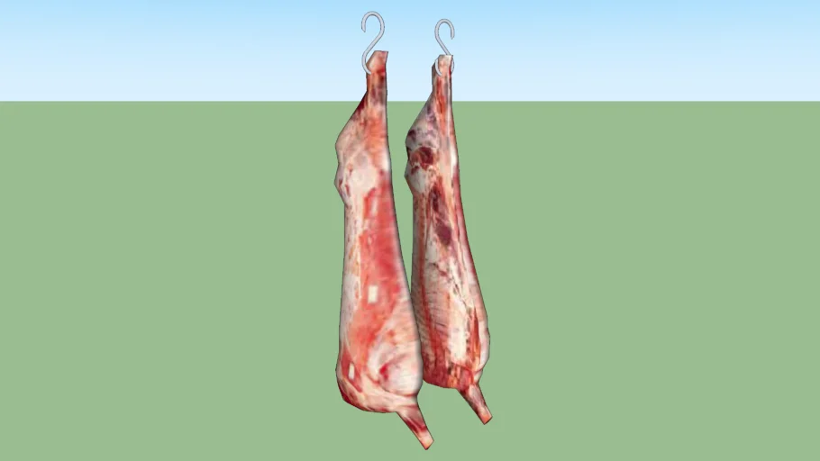 Bison (or beef) carcass | 3D Warehouse