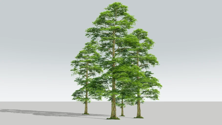 2D Tree | 3D Warehouse