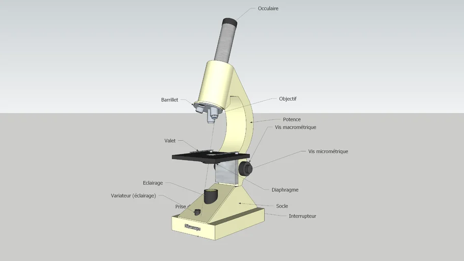 microscope | 3D Warehouse