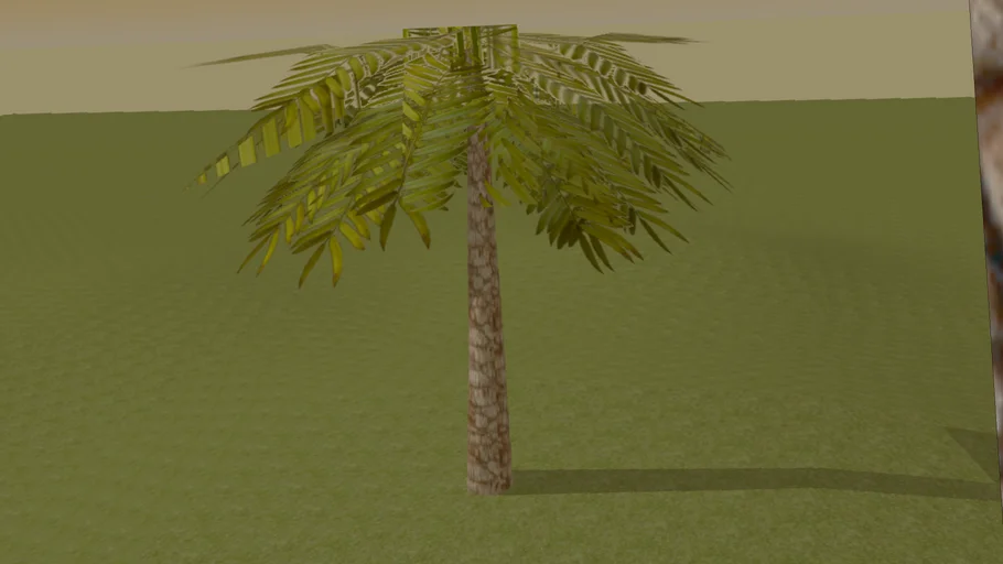 Palm | 3D Warehouse