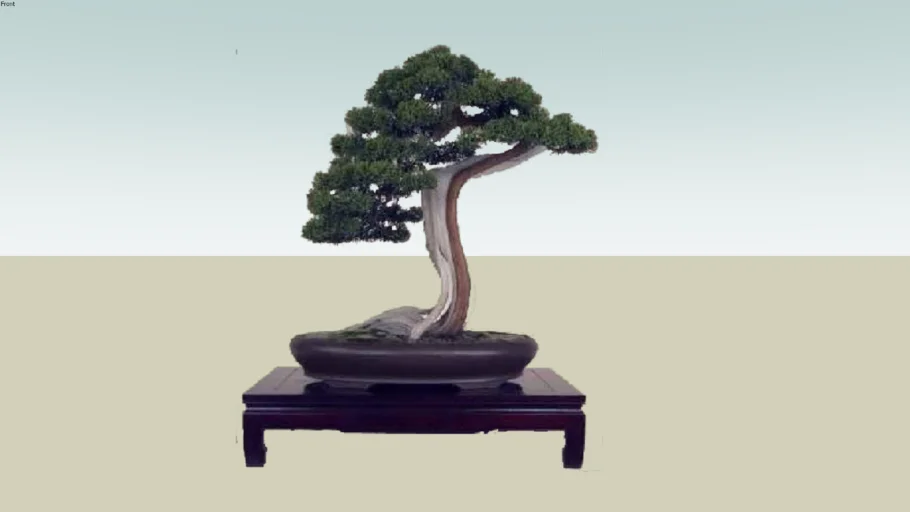 bonzai | 3D Warehouse