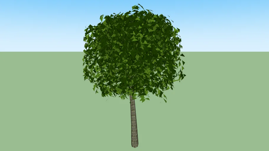 Lollipop Tree | 3D Warehouse