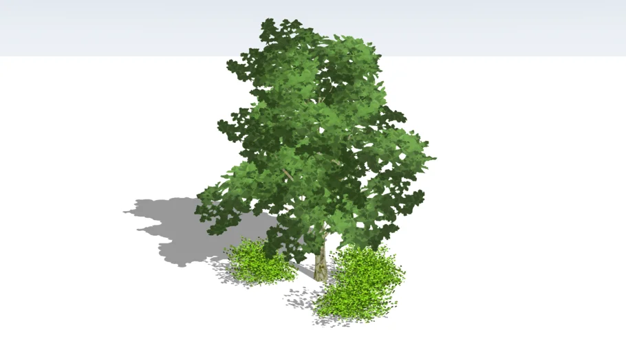 2.5d trees from Sets A & B | 3D Warehouse
