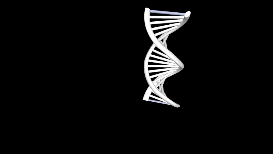 Strand of DNA | 3D Warehouse