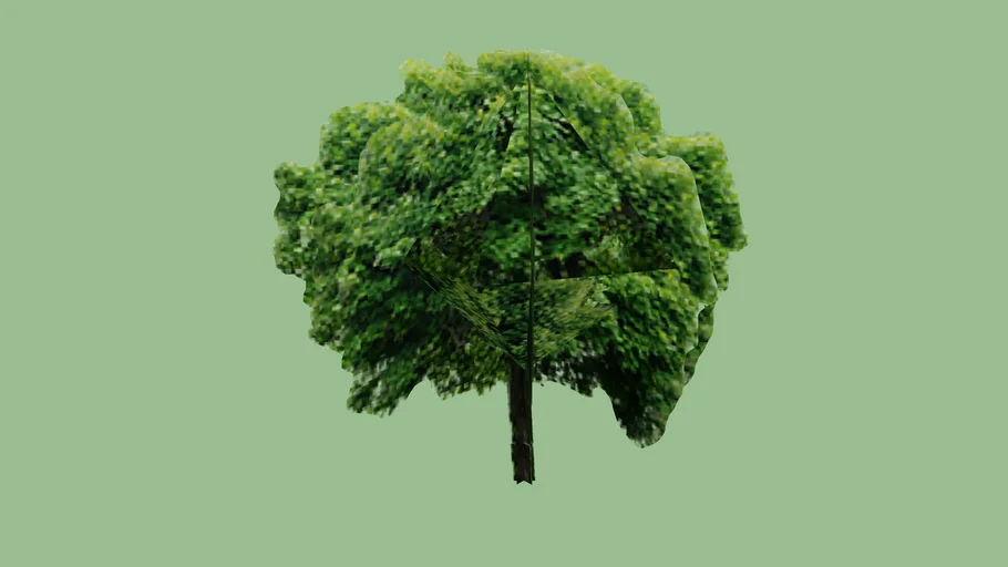tree1 | 3D Warehouse