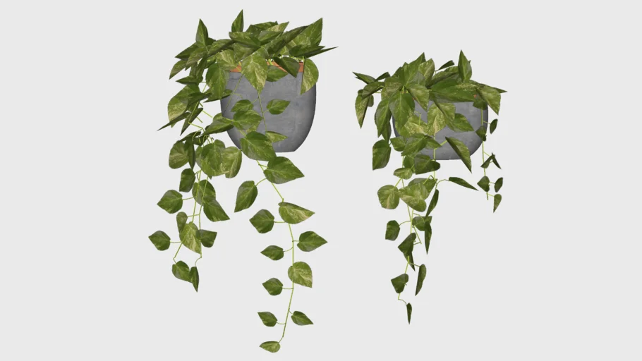 Vasinhos com jiboias | 3D Warehouse