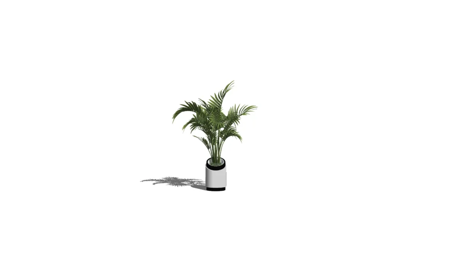 PLANT | 3D Warehouse