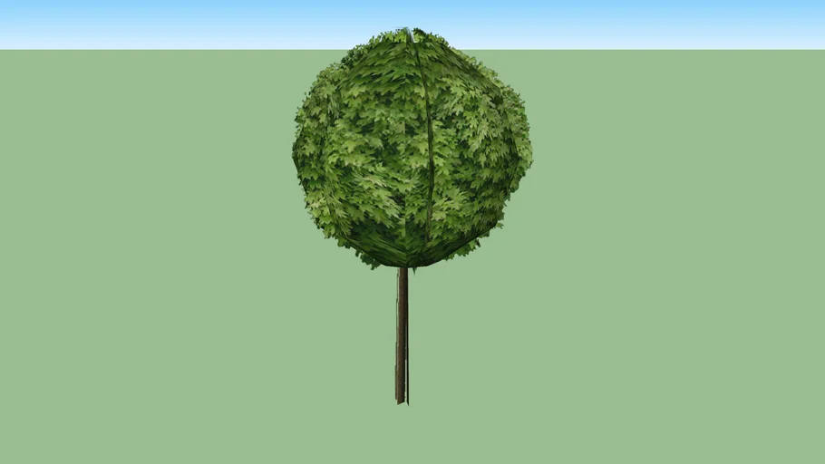Arbol 1 | 3D Warehouse