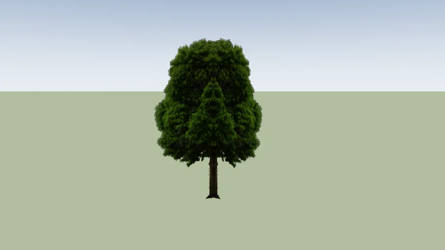 Regular Tree | 3D Warehouse