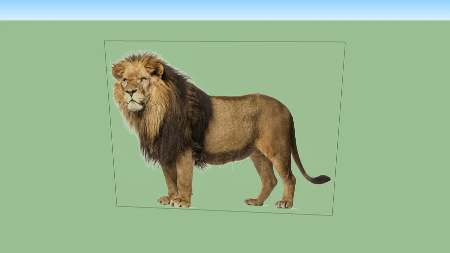 2d_lion | 3D Warehouse