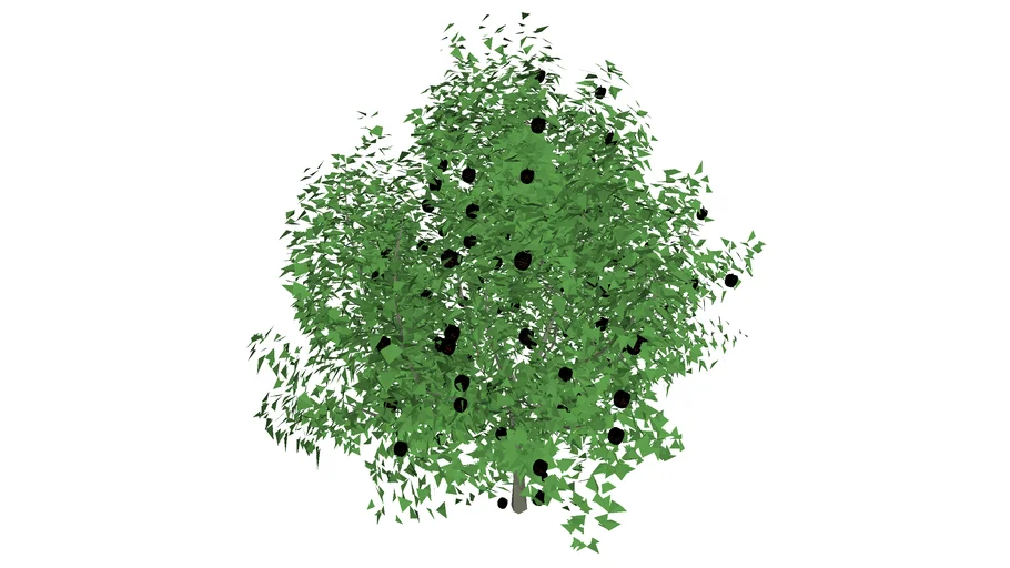 Apple Tree | 3D Warehouse