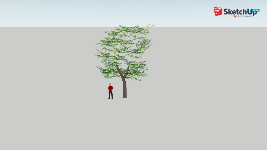 tree1 | 3D Warehouse