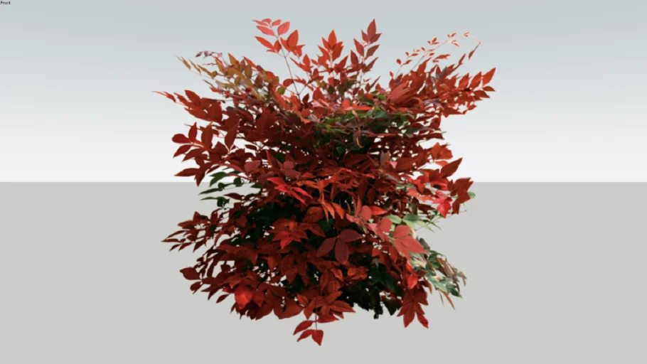 Obsession TM | 3D Warehouse