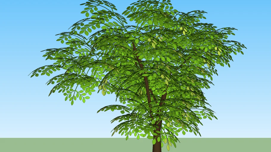 TREE-6.skp | 3D Warehouse