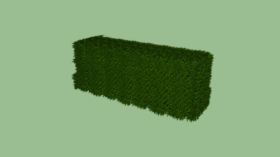 hedge | 3D Warehouse