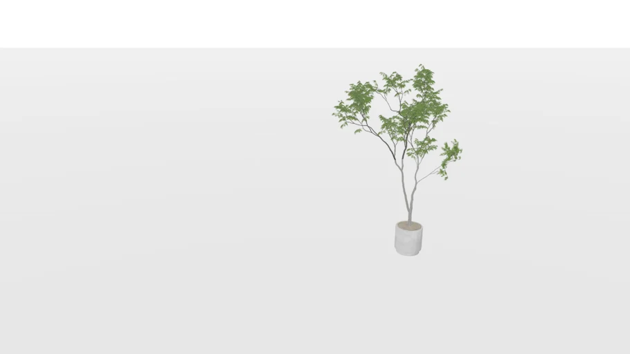 Plants | 3D Warehouse