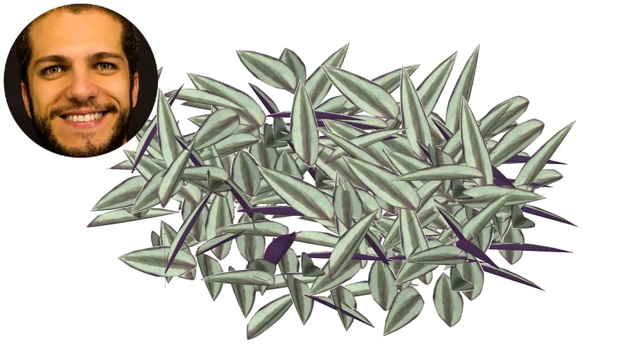 Tradescantia tree | 3D Warehouse