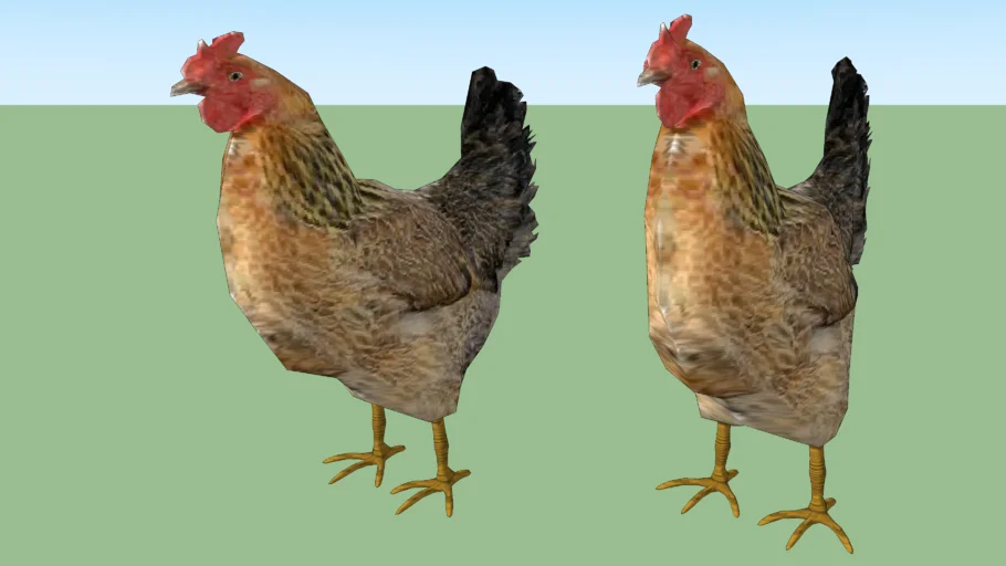 Chickens | 3D Warehouse