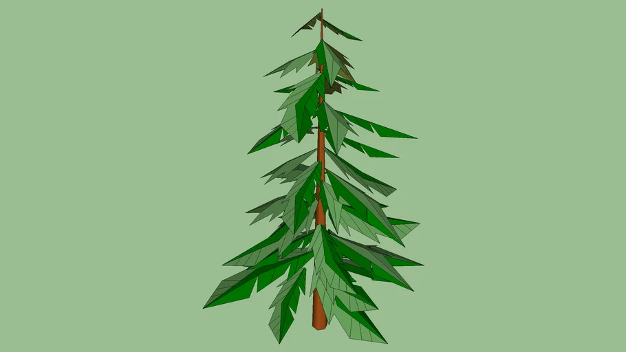 Pinheiro | 3D Warehouse