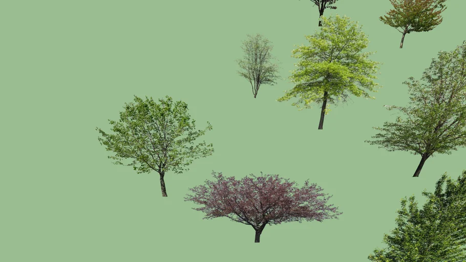 TREES | 3D Warehouse