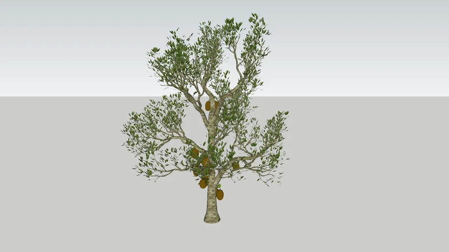 cay mit | 3D Warehouse