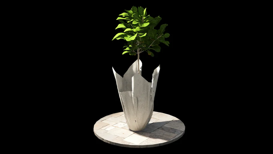 PLANTER POT | 3D Warehouse