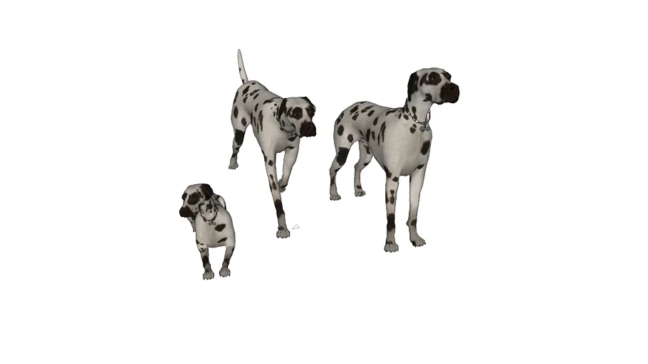 Dog | 3D Warehouse