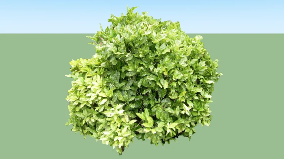 acuba | 3D Warehouse