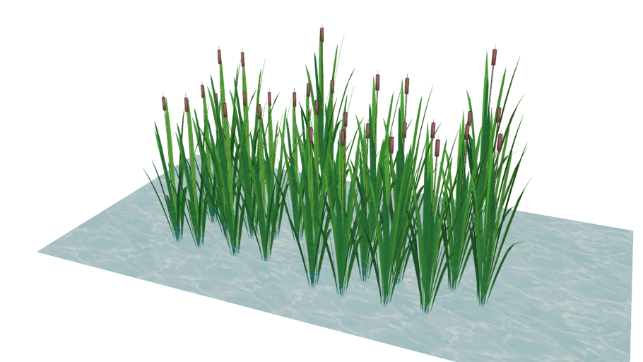 3D wetland reeds | 3D Warehouse